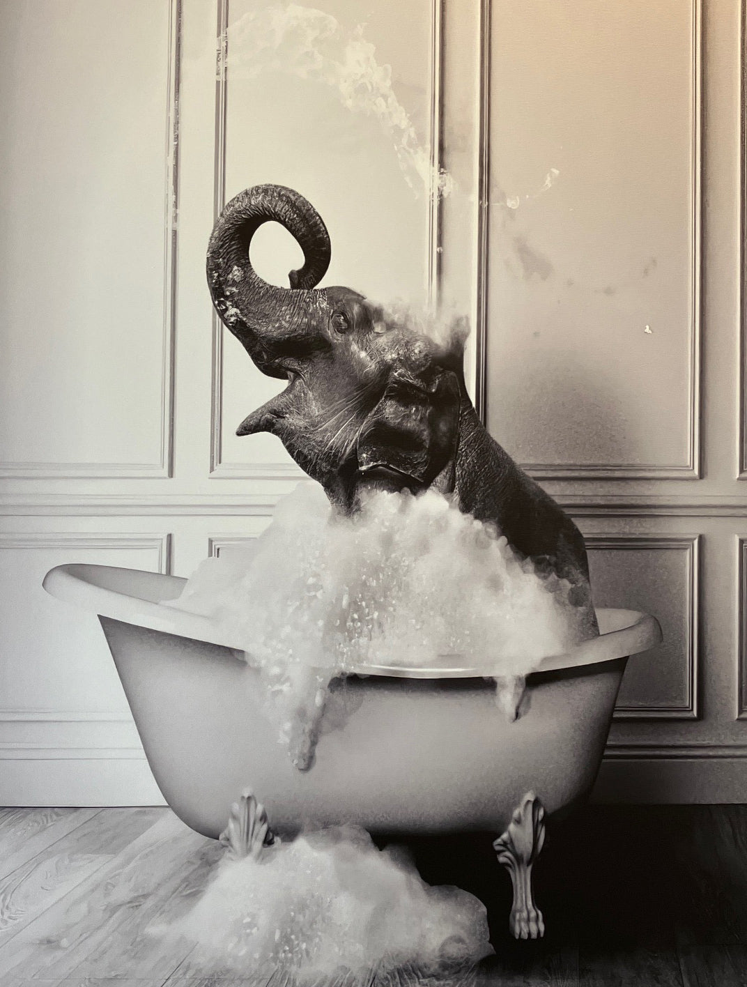 Size Charts – Soho Bay